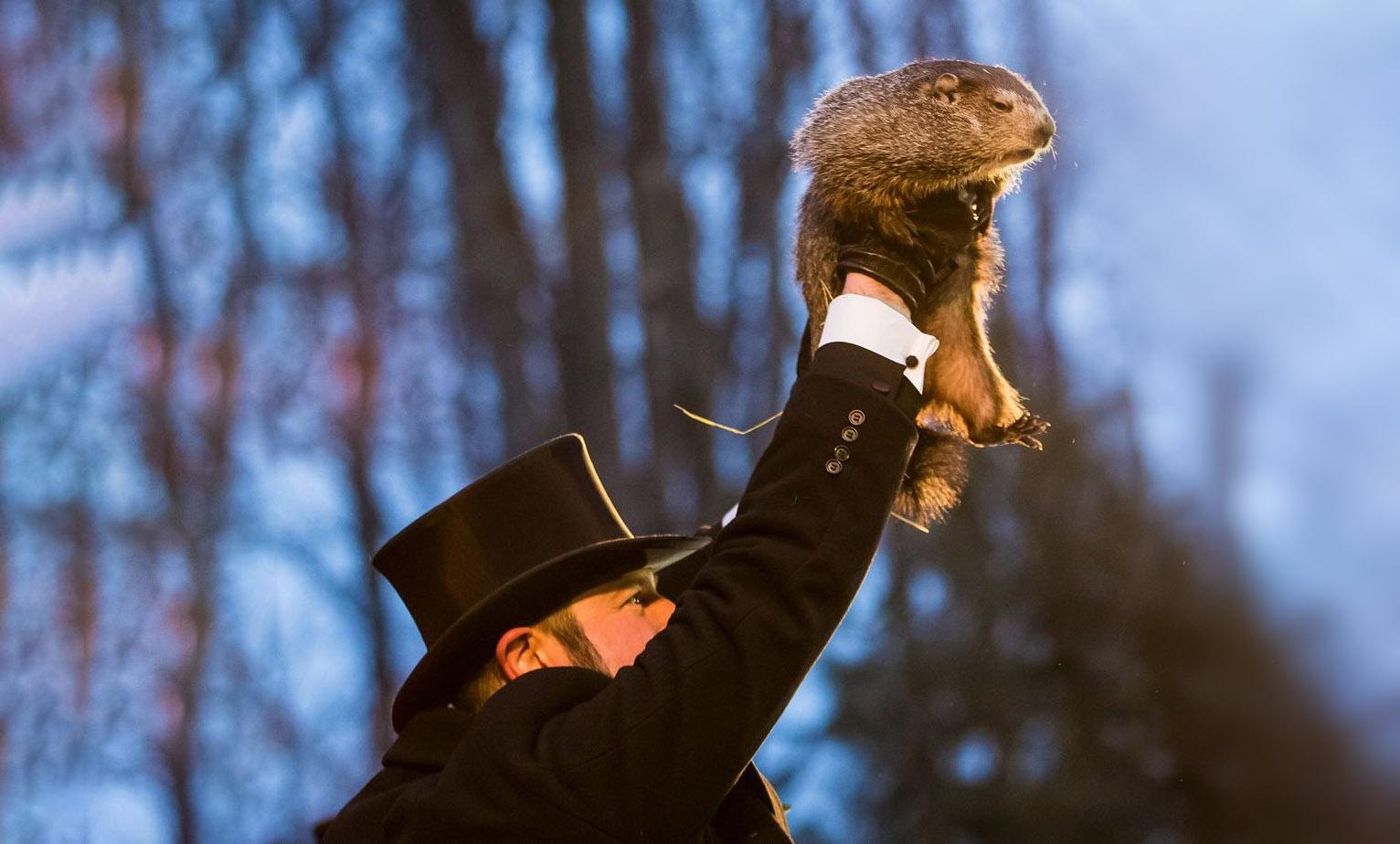 Does Phil Feel Lucky? - Erie Reader