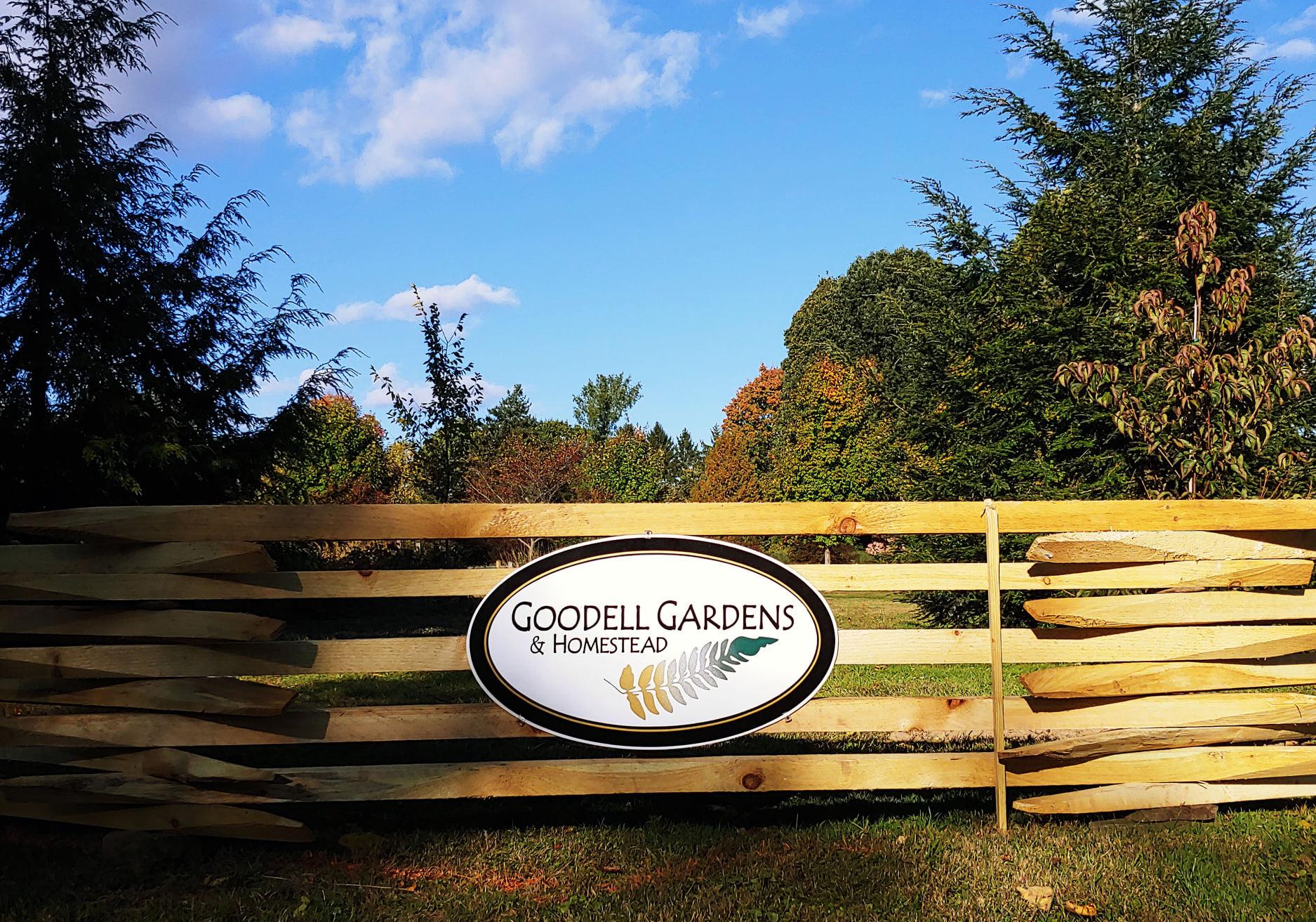 You Could Have It All Sow Good - Erie Reader