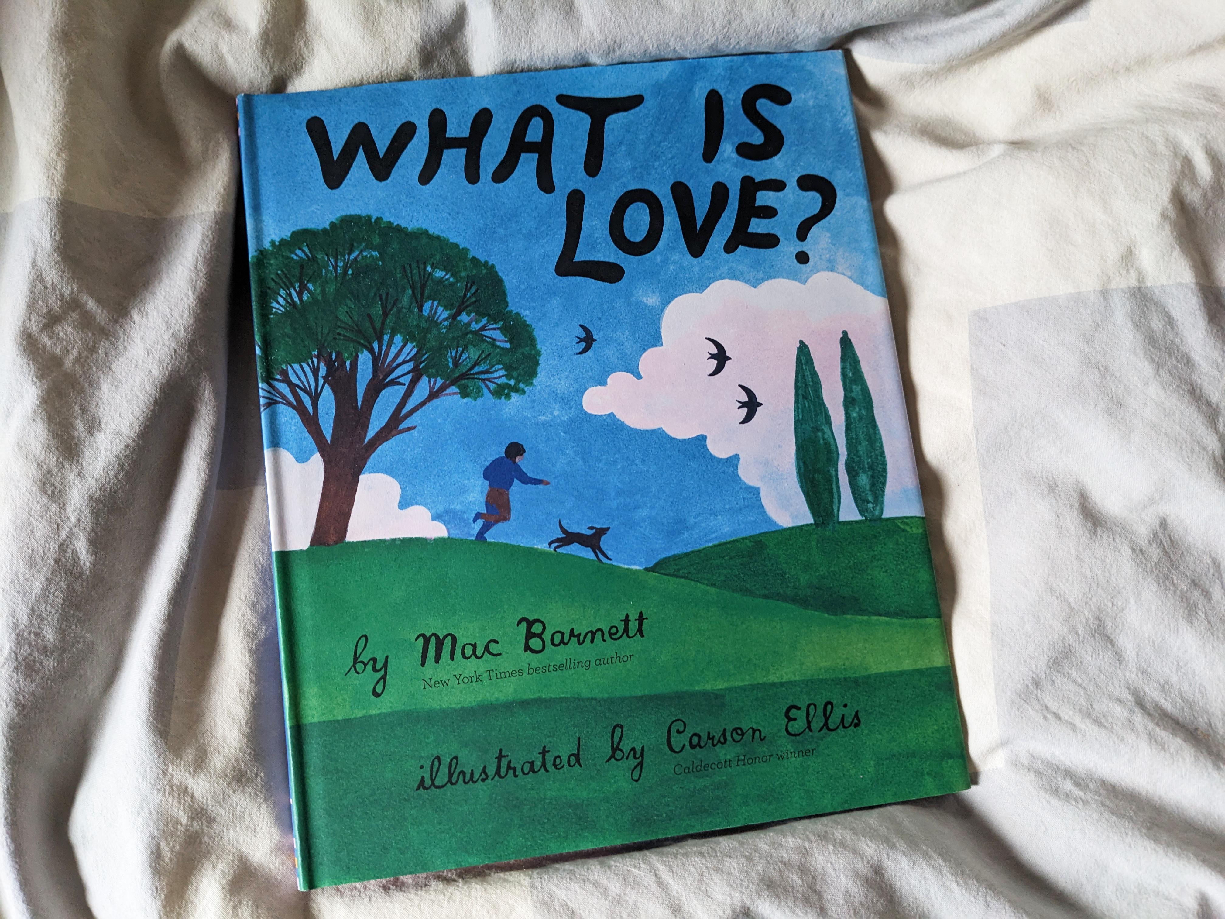 erin phillips author