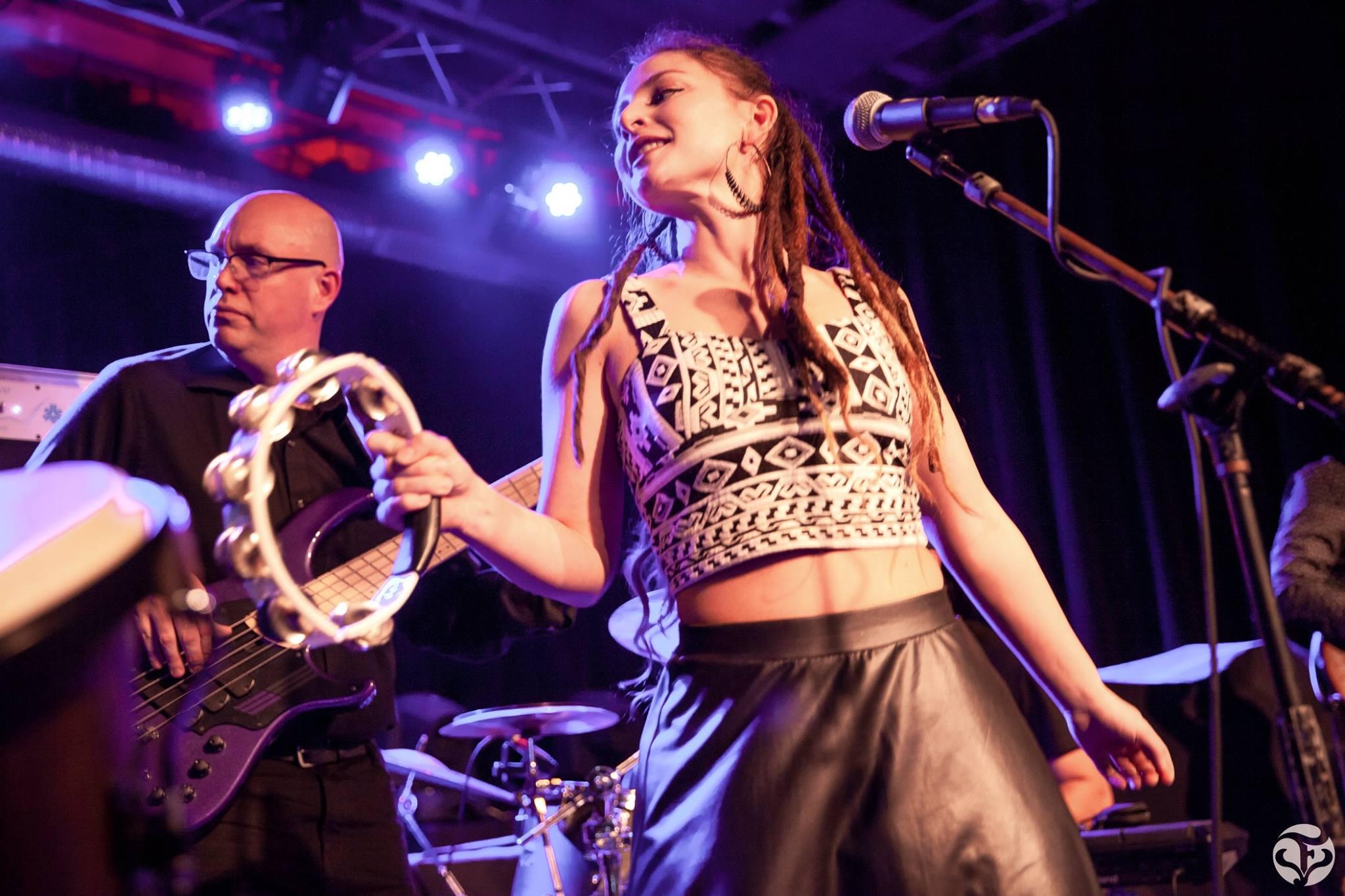 Root Shock, Tropidelic Reboot Rook's Live Music Scene - Erie Reader