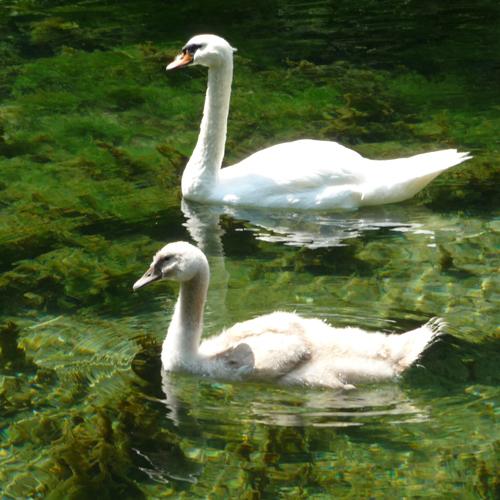 Just a Thought: April 27, 2016 - Erie Reader