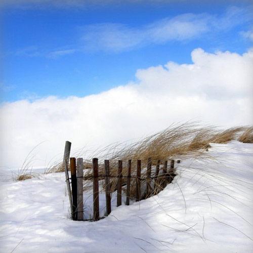 Discover PI … on the Snowy Side of the Year. - Erie Reader