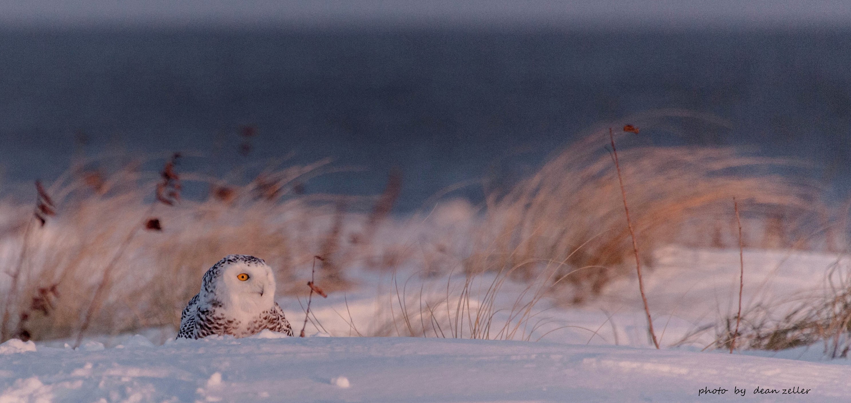 Don't Flake on Presque Isle Snow Day - Erie Reader