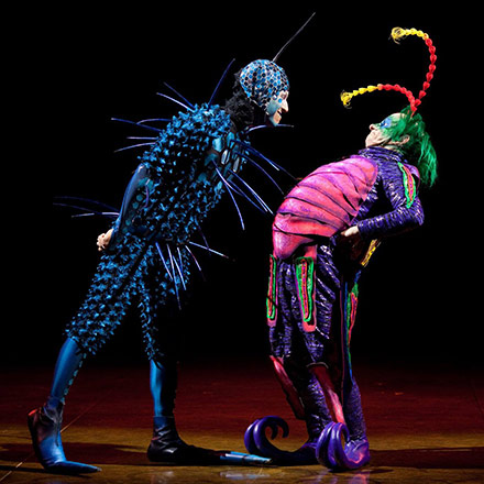 OVO Brings Spring to a Chilly Erie November - Erie Reader