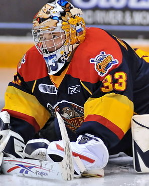 Otters on Brink of Elimination - Erie Reader