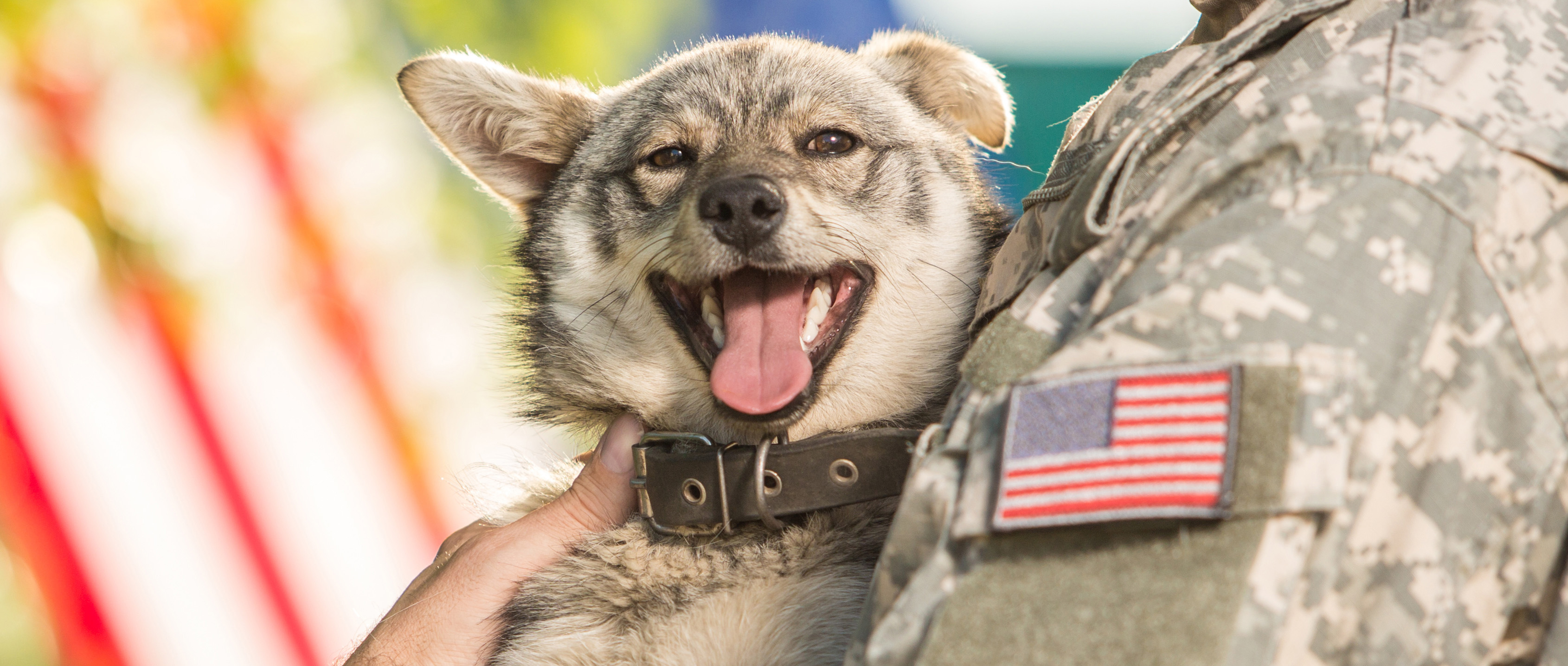 Wags for Warriors Pairs Pets with Vets - Erie Reader