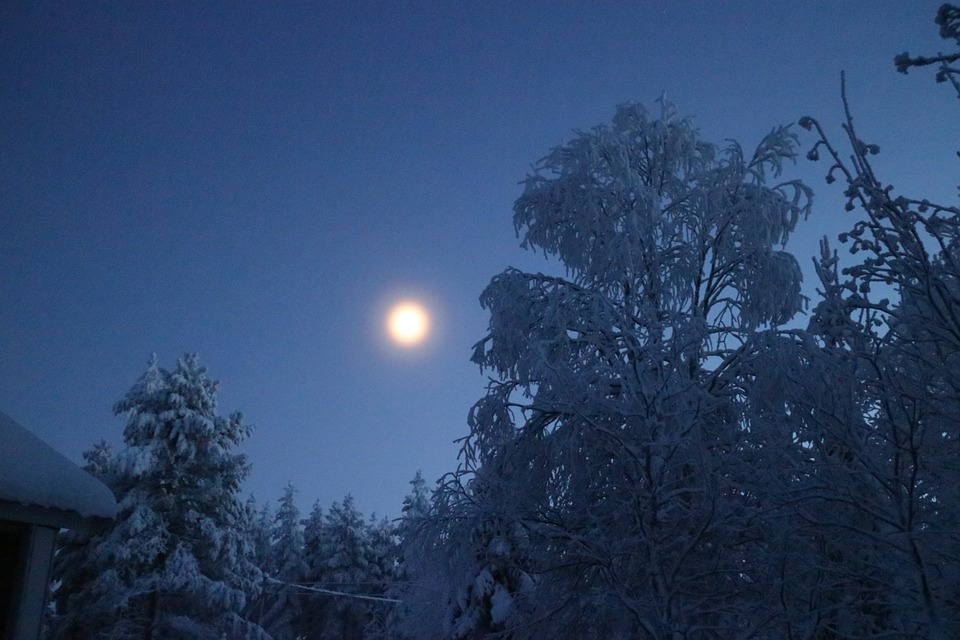 Moonlight Snowshoe Hike - Events - Erie Reader